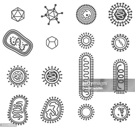 40 Rna Icon High Res Illustrations Getty Images