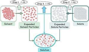 Difference Between Solute And Solvent With Comparison Chart Bio Differences