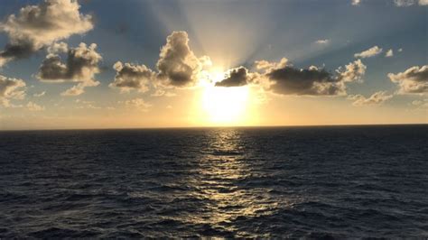 Jae Rivera Pmp Acsm Acspo On Linkedin Kindness Compassion And Grace Have Carried Me