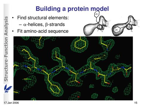PPT DNA Protein Structure Function Analysis And Prediction PowerPoint Presentation ID