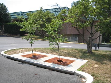 Tree Box Stormwater Filter At Mildred Urban Blog