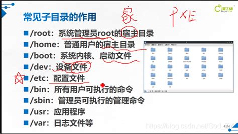 linux目录结构——树形目录结构 csdn博客