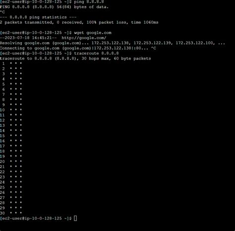 Networking Aws Nat Instance Setup Server Fault