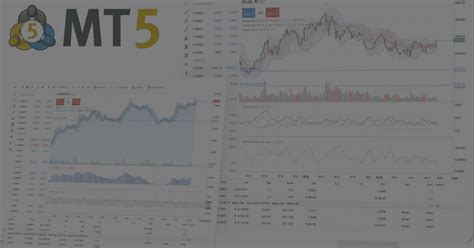 how to set reset your metatrader 5 mt5 account password