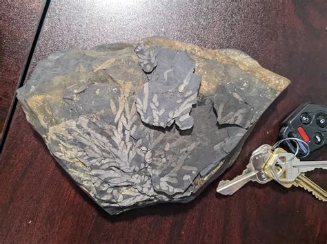 Bumpy Rock R Geology