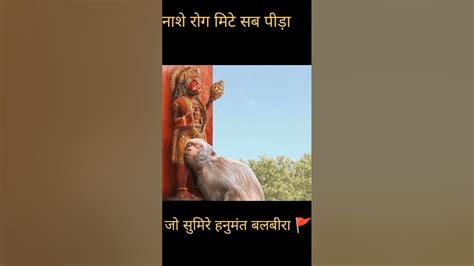 नाशे रोग हारे सब पीड़ा जपत निरंतर हनुमंत बीरा जयसियाराम Jaihanuman