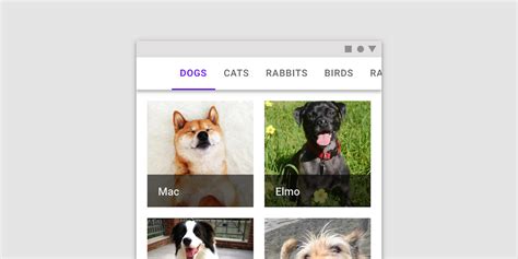Material Design