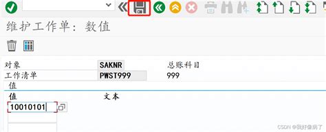 sap fico 会计科目 客户 供应商 公司代码（组）ob55创建工作清单满足报表查询需求 sap查询公司代码 csdn博客
