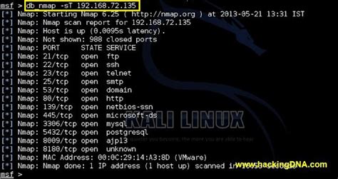 hackingdna postgresql on kali linux