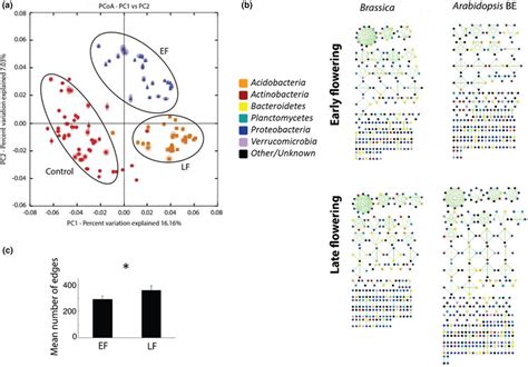 Comparison Of Microbiome Analysis Techniques Using A Principal