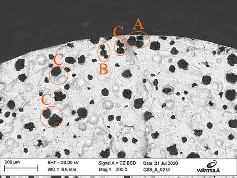 Graphite Clusters At A Fatigue Fracture Surface Picture By Scanning Download Scientific Diagram