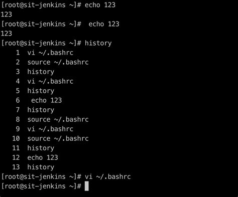 [问题已处理] centos7 history命令没有任何记录 centos 不记录历史命令 csdn博客
