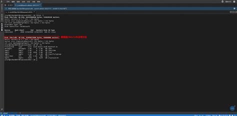 Ecs云盘基础操作指引linux 阿里云开发者社区