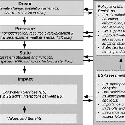 Dpsir Framework For Ecosystem And Ecosystem Services Assessments In A