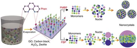 Schematic Diagrams Show Synthesizing Homogeneous And Phase Separated