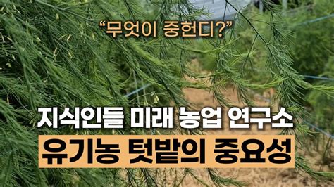 514텃밭의 중요성 지식인들의 미래 농업 연구소 유기농 텃밭 에너지농법 탄소농업 유기농업 환경농업 자연농업