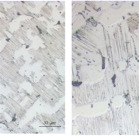 Optical Micrographs Showing The Microstructure Of The Cast Alloy At Two