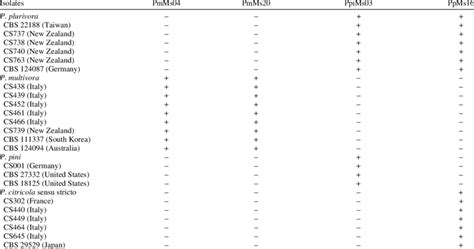 Identification Of Phytophthora Plurivora P Multivora P Pini And P Download Table