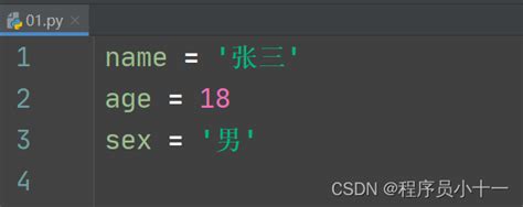 Python中变量的定义和使用规则