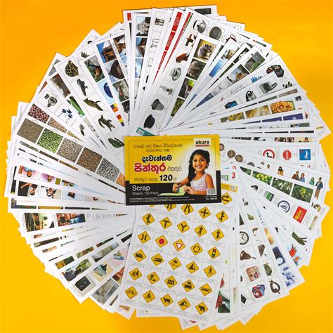 පින්තූර කොළ එකතුව Akura Pilot Sri Lanka School Office Stationery Pens Pencils Books