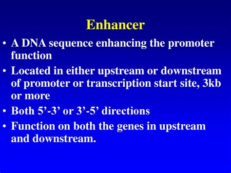 Gene Structure And Function Ppt Download