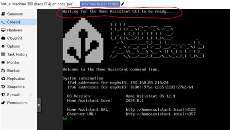 Waiting For Home Assistant Cli To Be Ready Configuration Home
