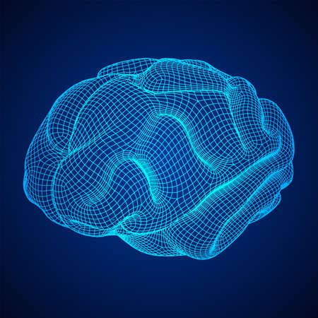 brain. Low poly abstract digital human brain. neural networks. IQ ...