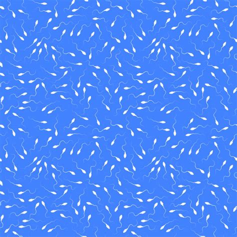 190개 이상의 Soft Sex Only 스톡 사진 그림 및 Royalty Free 이미지 Istock