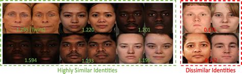Benchmarking Human Face Similarity Using Identical Twins Sami 2022