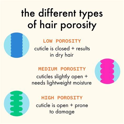 Why Is Difference Between High Porosity And Low Porosity Hair Different From Other Types Low