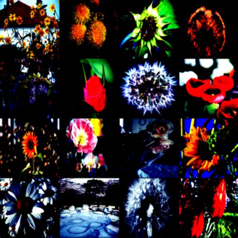 Classifying Flowers With A Convolutional Neural Networkcnn By Gbemi