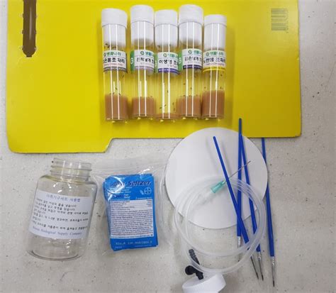 생명과학실험 돌연변이 초파리 관찰 네이버 블로그