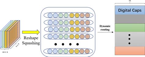 Part Of Multi Level Capsules For His Classification Download Scientific Diagram