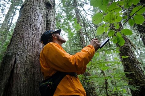 Recording Forest Health Indicators Ar Generative Ai Premium Ai Generated Image