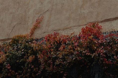 The Abrahamic Covenant In Christ