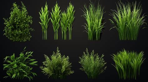 Psd Various Types Of Protected Grass Rendering Premium Ai Generated Image