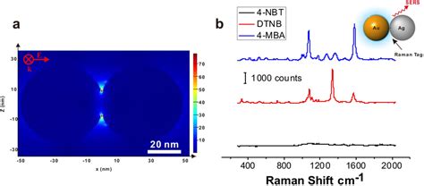 A Fdtd Simulation Of Electromagnetic Field Distribution Of Auag Dimer