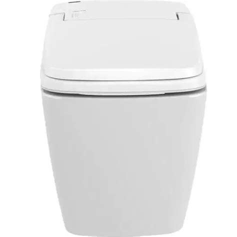 Toilet Bidet Product 보보일체형비데 일체형비데 일체형양변기 비데일체형 보보비데 On Bunjang With Safe Global Shipping