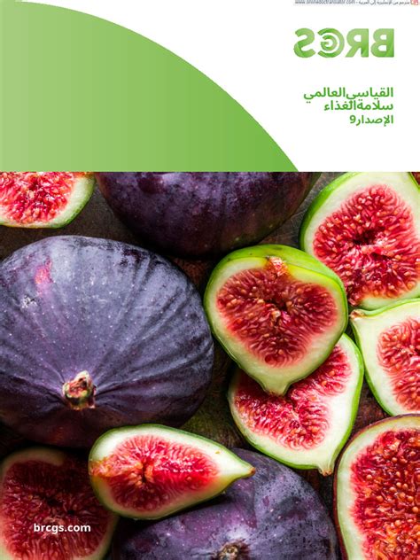 BRC V9 - Ar | PDF