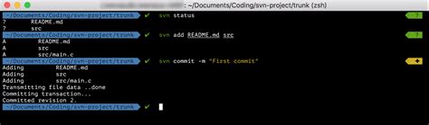 Access Svn Repository Tencent Cloud
