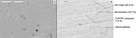 Micrographies In Two Plans A Longitudinal B Transverse Download