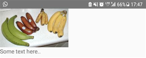 React Native Image Not Showing In Android Emulator Stack Overflow