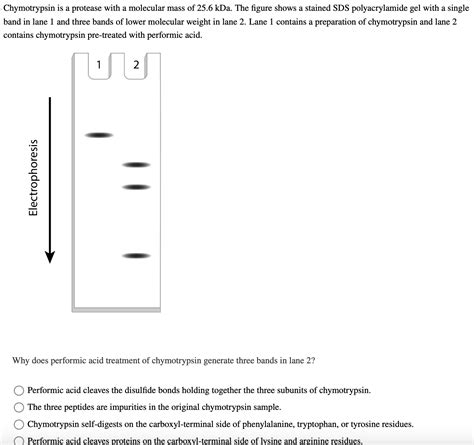 Solved Chymotrypsin Is A Protease With A Molecular Mass Of