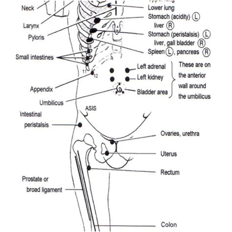Chapman Points Flashcards Quizlet