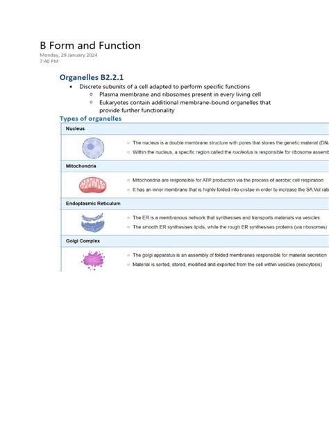 Ib Biology B Form And Function Pt1 Pdf Cell Membrane Mitochondrion