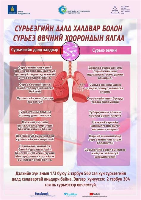 16 р цэцэрлэгийн эцэг эхэд зөвлөгөө өгөх төв Home Facebook