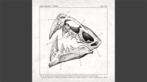 Geologic Youtube