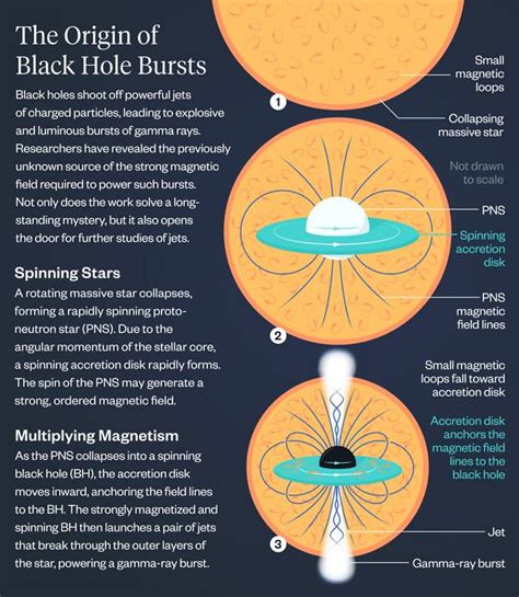 Layers Of A Black Hole