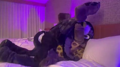 SheMales Bird Fucks A Hyena Missionary ThisVid Com