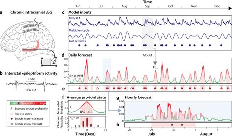 Figure From Forecasting Seizure Risk In Adults With Focal Epilepsy A Development And